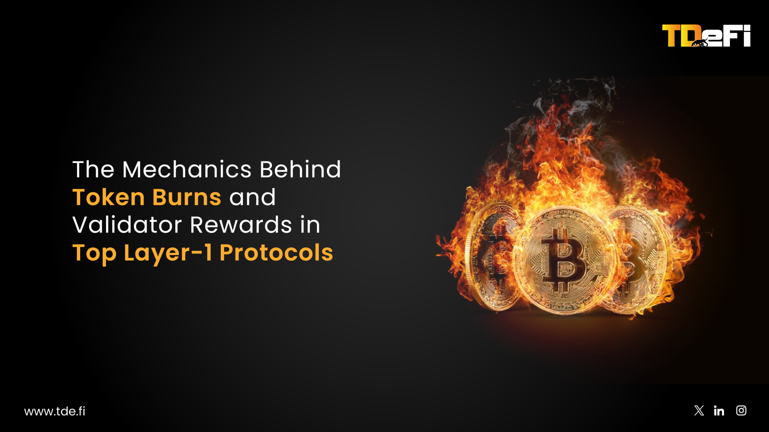 TDeFi Blogs - What is Token Burning?